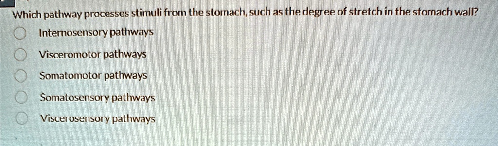Which pathway processes stimuli from the stomach, such as the degree of ...