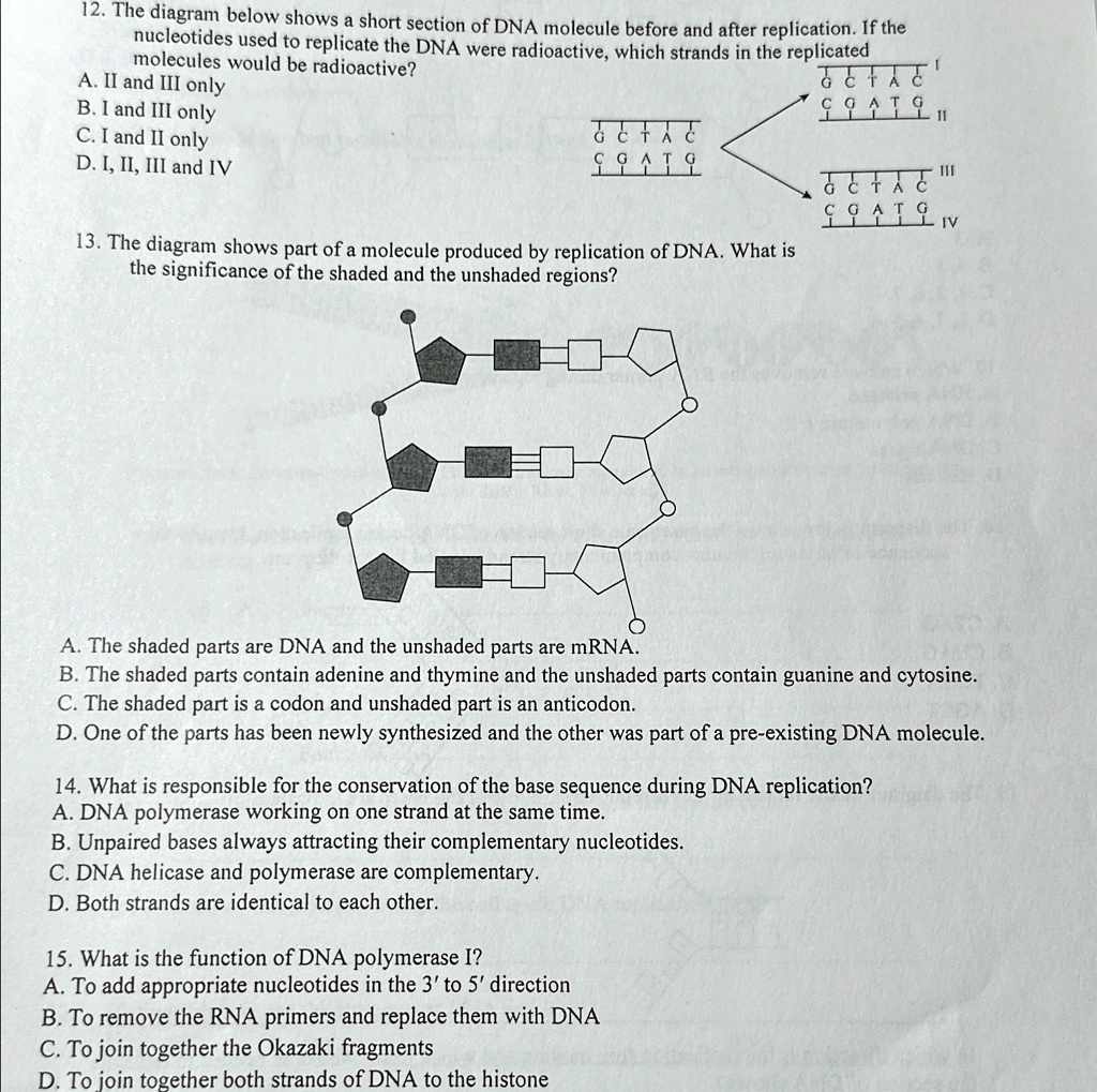 The diagram below shows a short section of DNA molecule before and after replication. If the ...