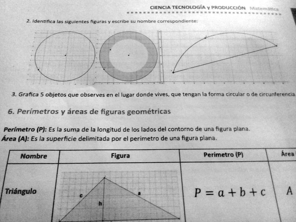 SOLVED: Identifica las siguientes figuras y escribesu nombre ...