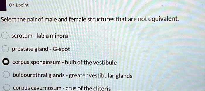 0/1 point Select the pair of male and female structures that...