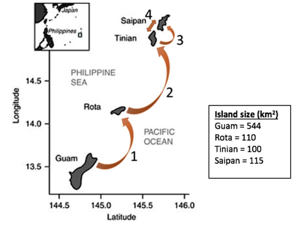 [52-55] The figure shows a group of islands in the Western Pacific, and ...
