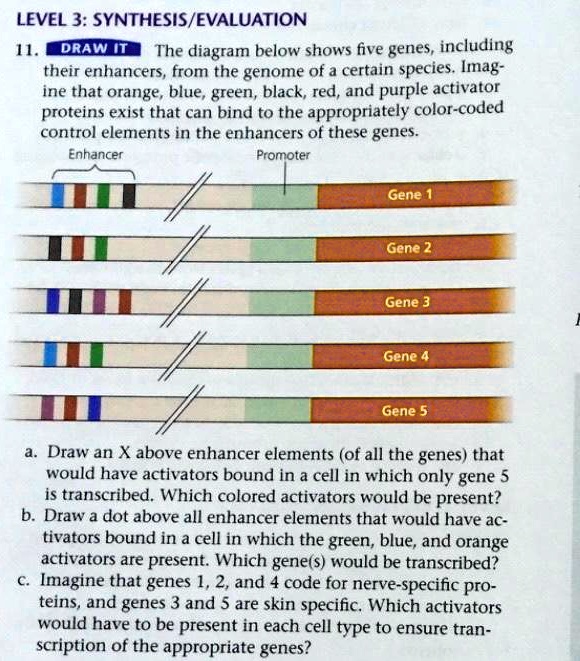 level 3 synthesisevaluation t1 draw i the diagram below shows five ...