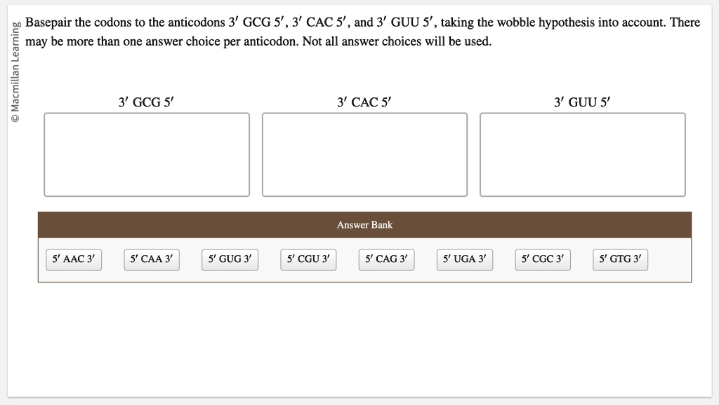 Solved Base Pair The Codons To The Anticodons 3 Gcg 5 3 Cac 5
