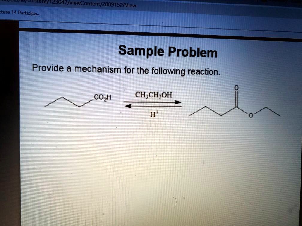 SOLVED: Tenlenun2504T Mew Content/2889152/New True 14 Participant ...