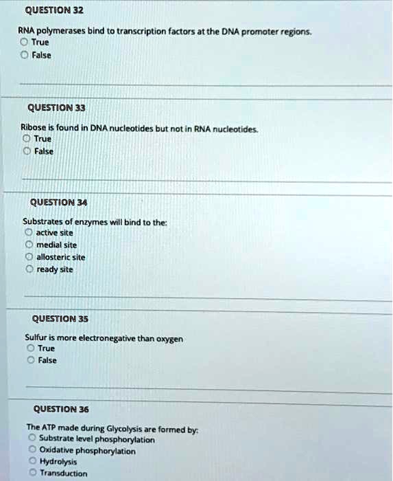 SOLVED:QUESTION 32 RNA polymerases bind to transcription factors at the ...