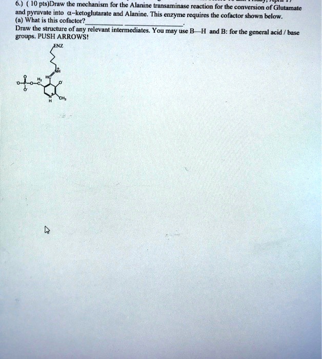 6 10 ptsdraw the mechanism for the alanine transaminase reaction for ...