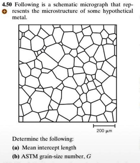 SOLVED: 450 Following is a schematic micrograph that rep resents the ...