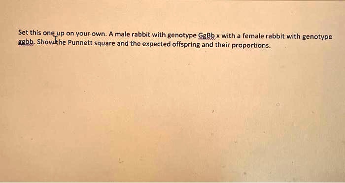 Set this one up on your own. A male rabbit with genotype GgBb x with a ...