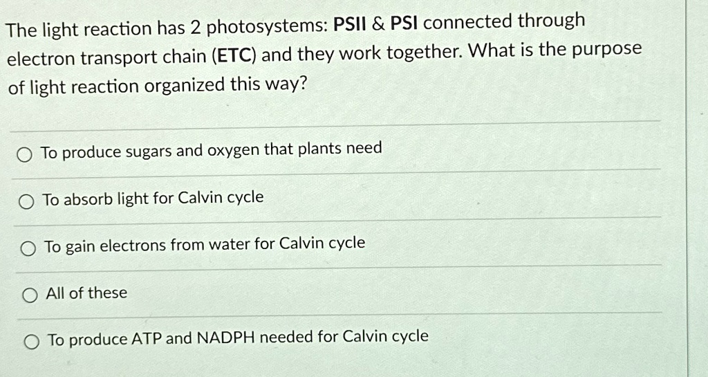 SOLVED: The light reaction has 2 photosystems: PSII PSI connected ...