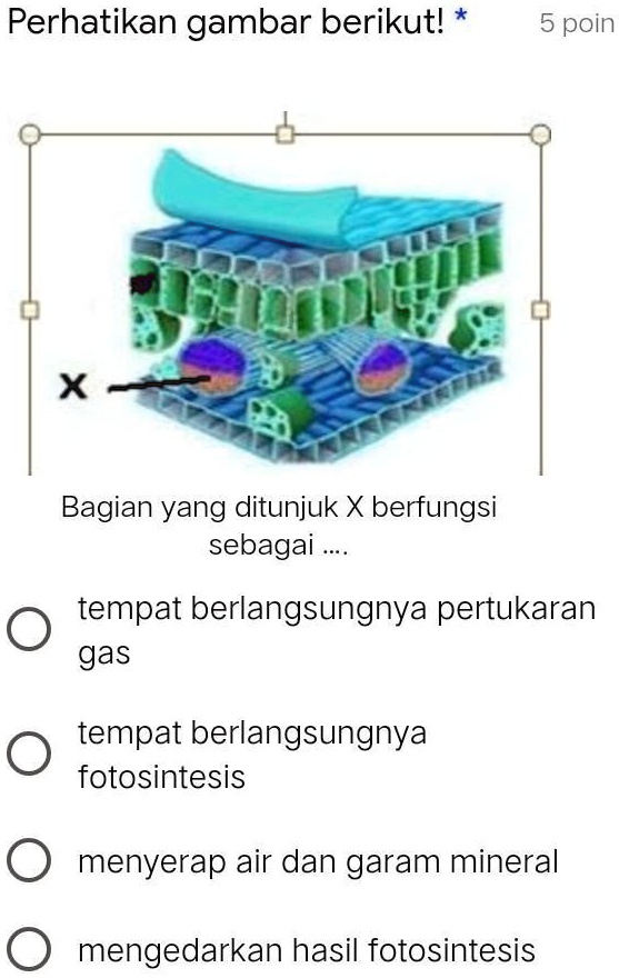 SOLVED: TOLONGIN GUE NGERJAIN TUGAS IPA.BAGI YANG BISA AJA.INI PENTING ... SOLVED: TOLONGIN GUE NGERJAIN TUGAS IPA.BAGI YANG BISA AJA.INI PENTING ...