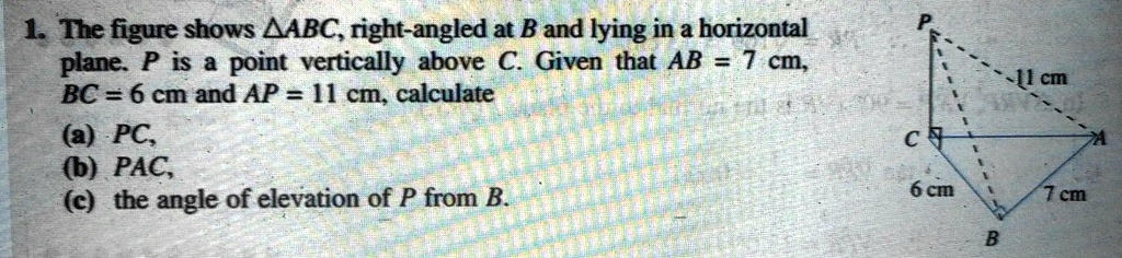 SOLVED: The figure shows ABC, right-angled at B and lying in a horizontal plane. P is point ...