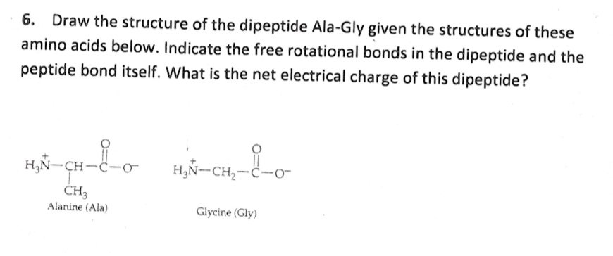 SOLVED:6. Draw the structure of the dipeptide Ala-Gly given the ...