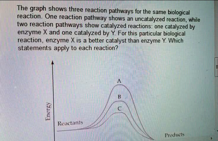 The graph shows three reaction pathways for the same biological reaction. One reaction pathway ...