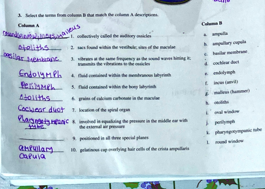 3. Select the terms from column B that match the column A descriptions ...