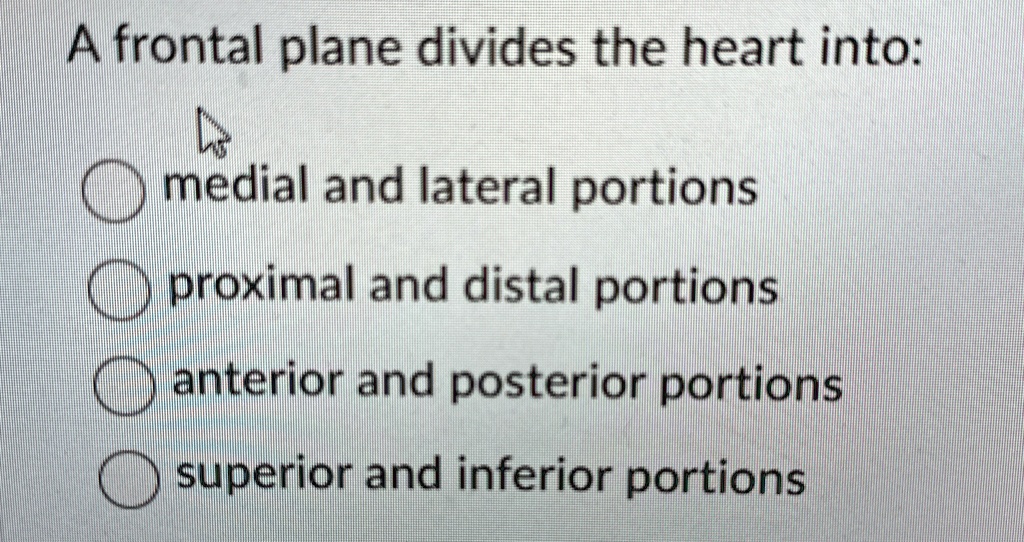 A frontal plane divides the heart into: medial and lateral portions ...
