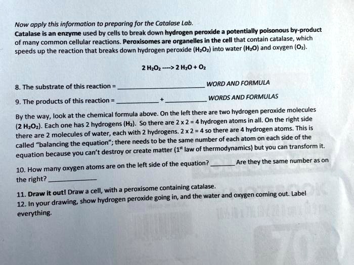 SOLVED: Now apply this information to preparing for the Catalase Lab: Catalase is an enzyme used ...