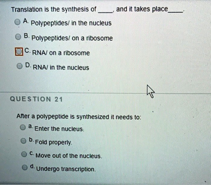 SOLVED:Translation is the synthesis of and it takes place_ Polypeptides ...