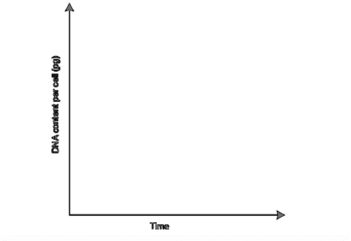 SOLVED: A human cell in G1 phase contains 7 picograms (7 x 10^-12g) of ...