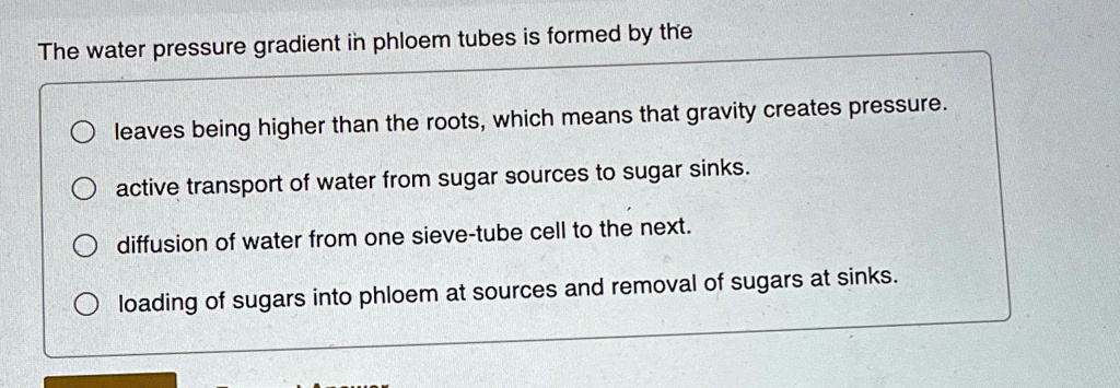 SOLVED: The water pressure gradient in phloem tubes is formed by the ...