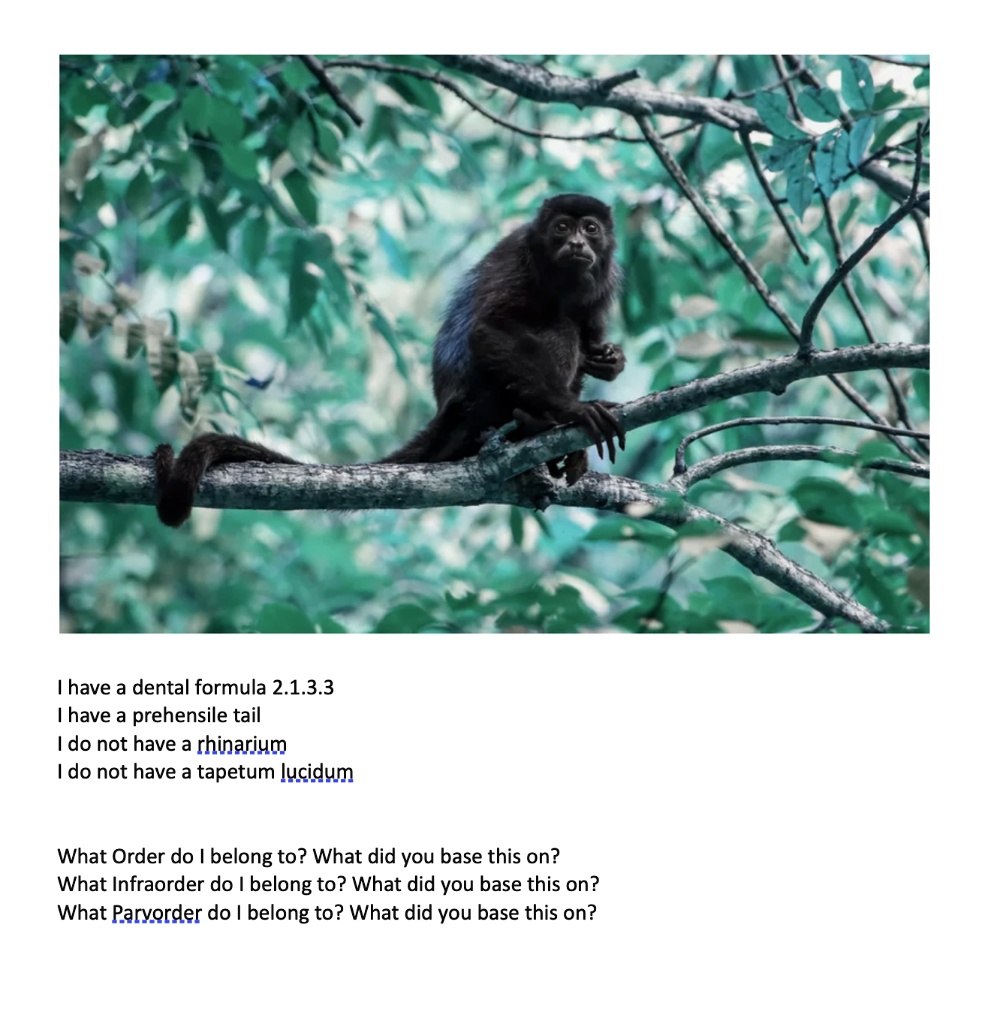 SOLVED: have a dental formula 2.1.3.3 have a prehensile tail do not ...