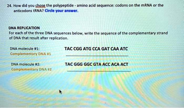 SOLVED: 24. How did you choose the polypeptide amino acid sequence ...