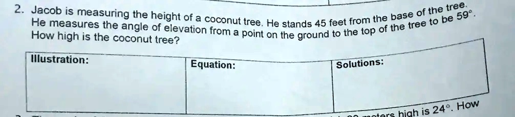 SOLVED: Jacob is at the base of a coconut tree, measuring its height ...