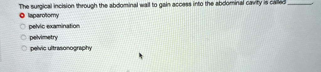 the surgical incision through the abdominal wall to gain access into ...