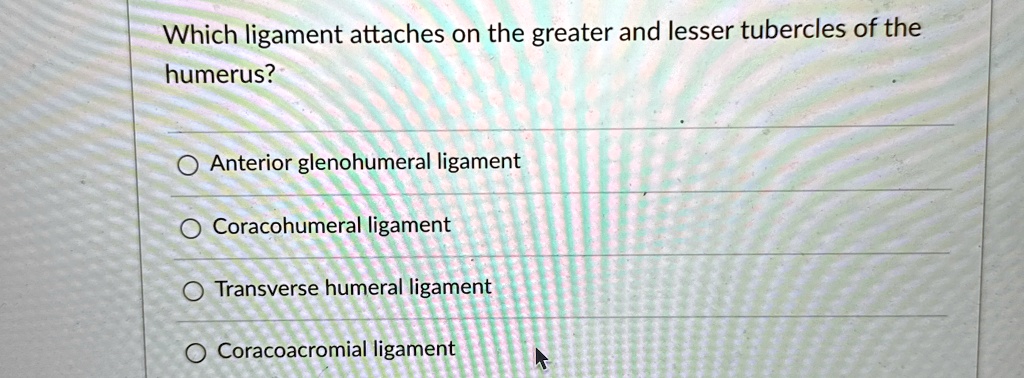 Which ligament attaches on the greater and lesser tubercles of the ...