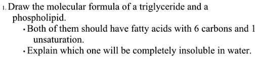1. Draw the molecular formula of a triglyceride and a phospholipid ...