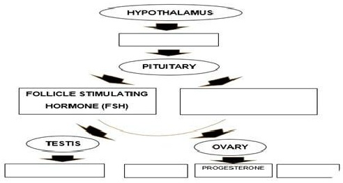 Learning Task 2 Concept Map. Write the necessary word/words to complete ...