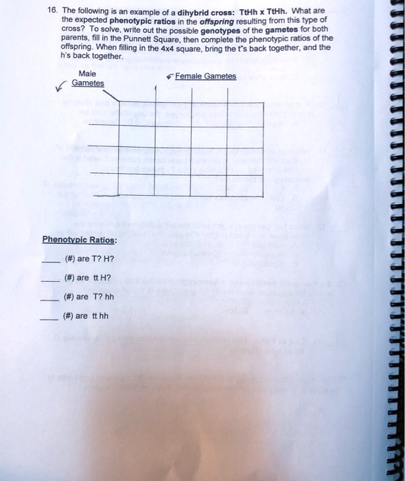 the following example dihybrid cross tthh tthh what are the expected ...