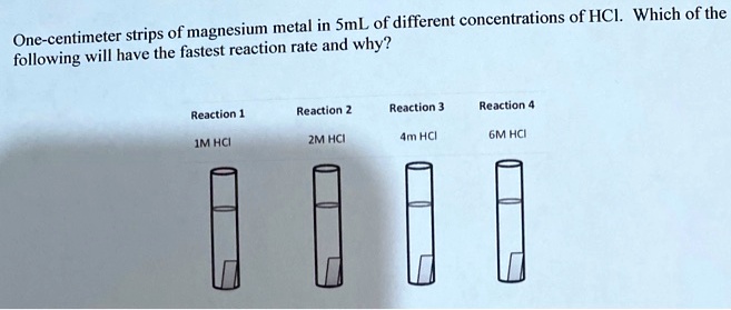 Title: Reaction Rates of Different Concentrations of HCl on Magnesium ...