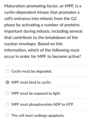 SOLVED: Maturation-promoting factor; or MPF; is cyclin-dependent kinase ...