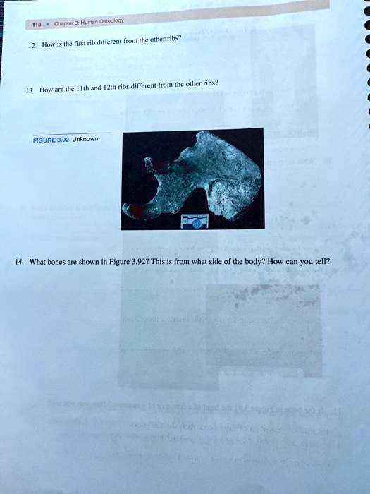 118 Chapter 3: Human Osteology 12. How is the first rib different from ...