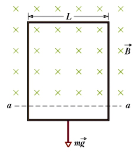 SOLVED: A rectangular conducting loop, of width L, resistance R, and mass m, falls out of a ...