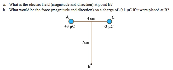 Solved A What Is The Electric Field Magnitude And Direction At