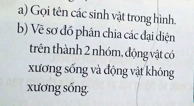 a) G?i tên các sinh v?t trong hình. b) V? s? ?? phân chia các ??i di?n trên thành 2 nhóm, ??ng v ...