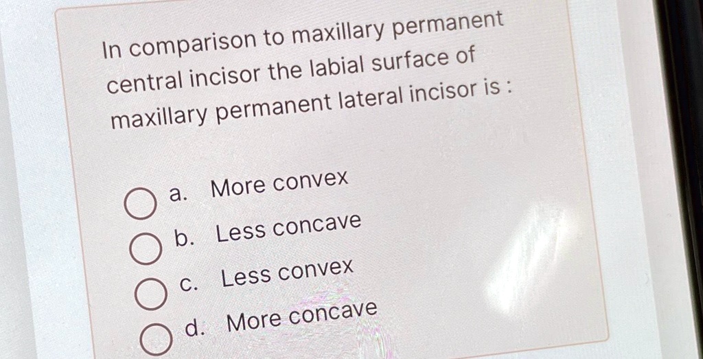 In comparison to maxillary permanent central incisor the labial surface ...