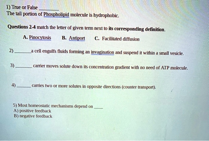 SOLVED: 1) True or False The tail portion of Phospholipid molecule is ...