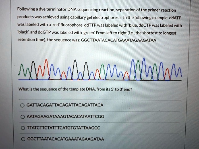 following a dye terminator dna sequencing reaction separation of the ...