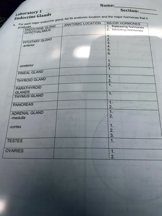 Laboratory 1 Endocrine Glands Name: Section: 1. For each major ...
