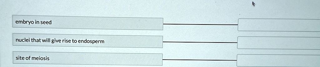 embryo in seed nuclei that will give rise to endosperm site of meiosis ...