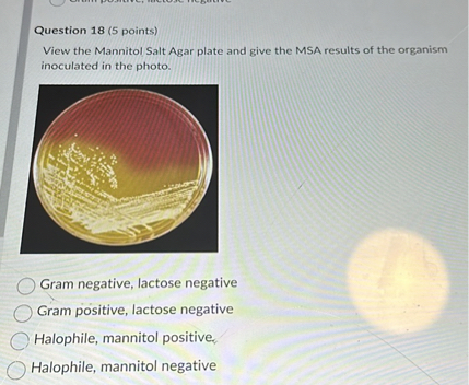 Question 18 (5 points) View the Mannitol Salt Agar plate and give the ...