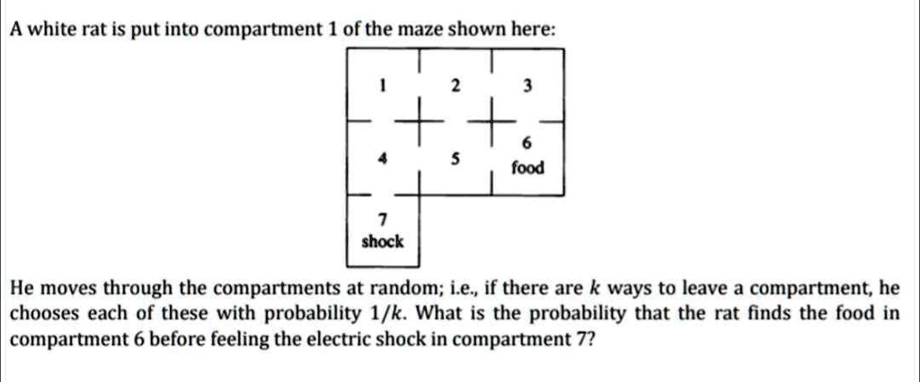 SOLVED: A white rat is put into compartment 1 of the maze shown here: food shock He moves ...