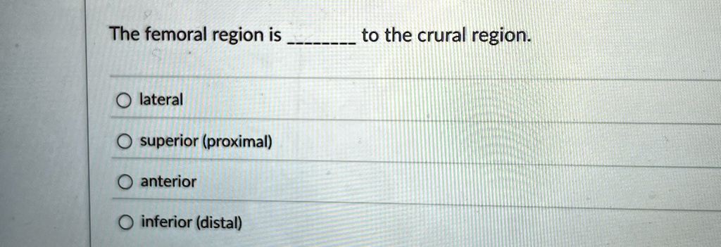 The femoral region is to the crural region. O lateral O superior ...