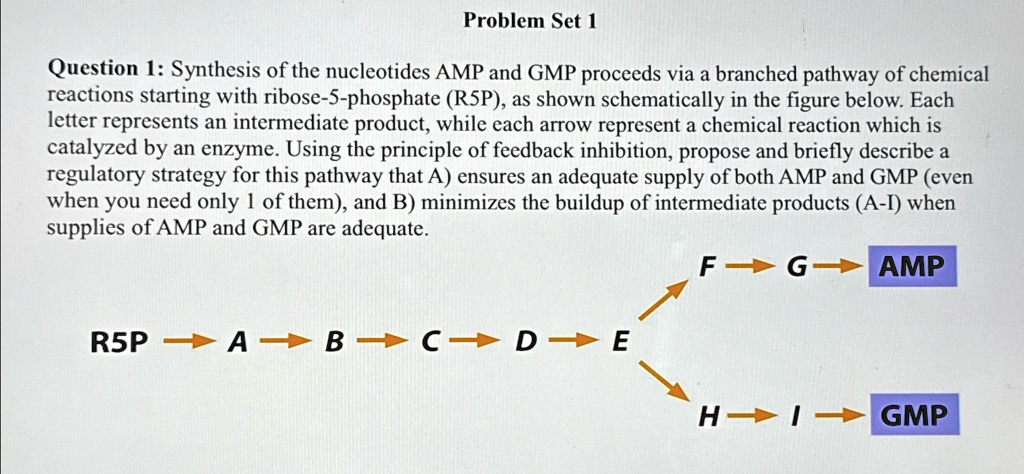 SOLVED: Problem Set 1 Question 1: Synthesis of the nucleotides AMP and ...