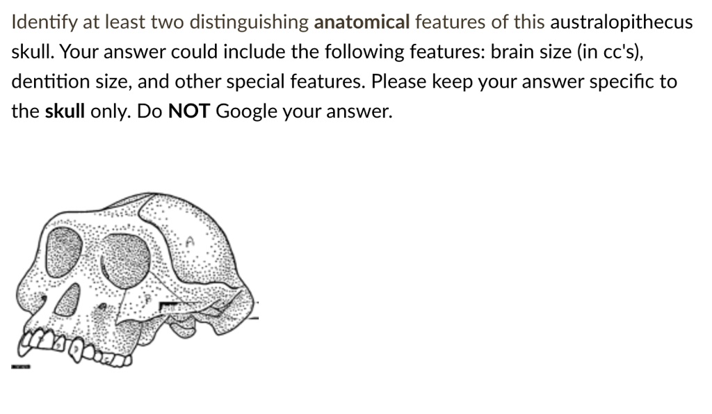 SOLVED: Identify at least two distinguishing anatomical features of ...