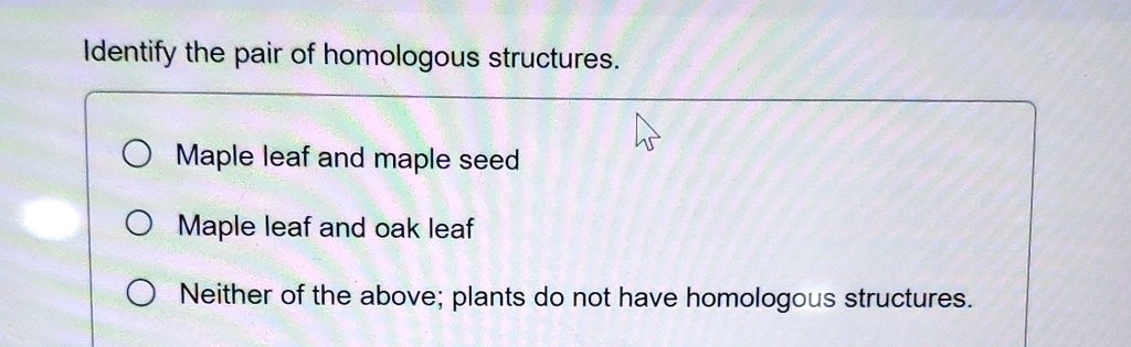 identify the pair of homologous structures maple leaf and maple seed ...