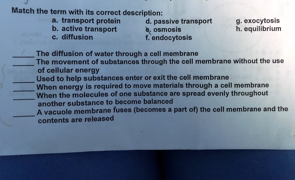 Match the term with its correct description: a. transport protein b ...