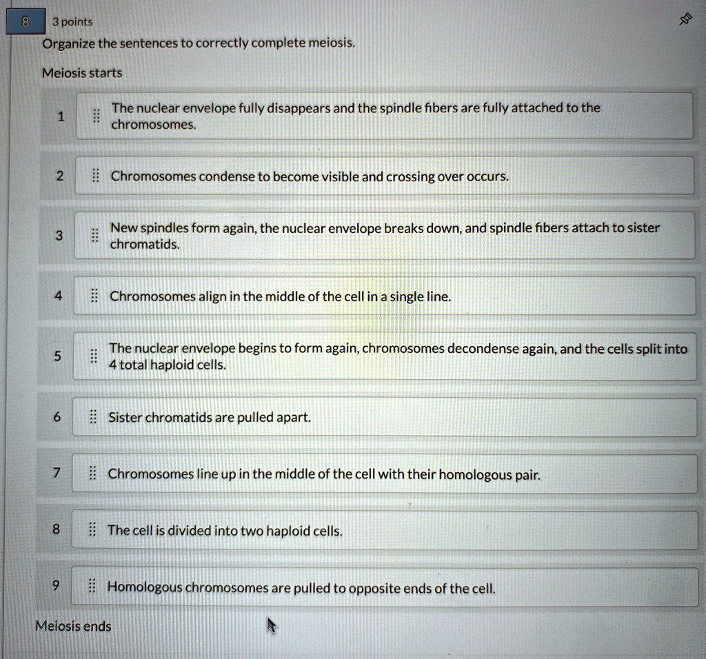 8 3 points Organize the sentences to correctly complete meiosis ...